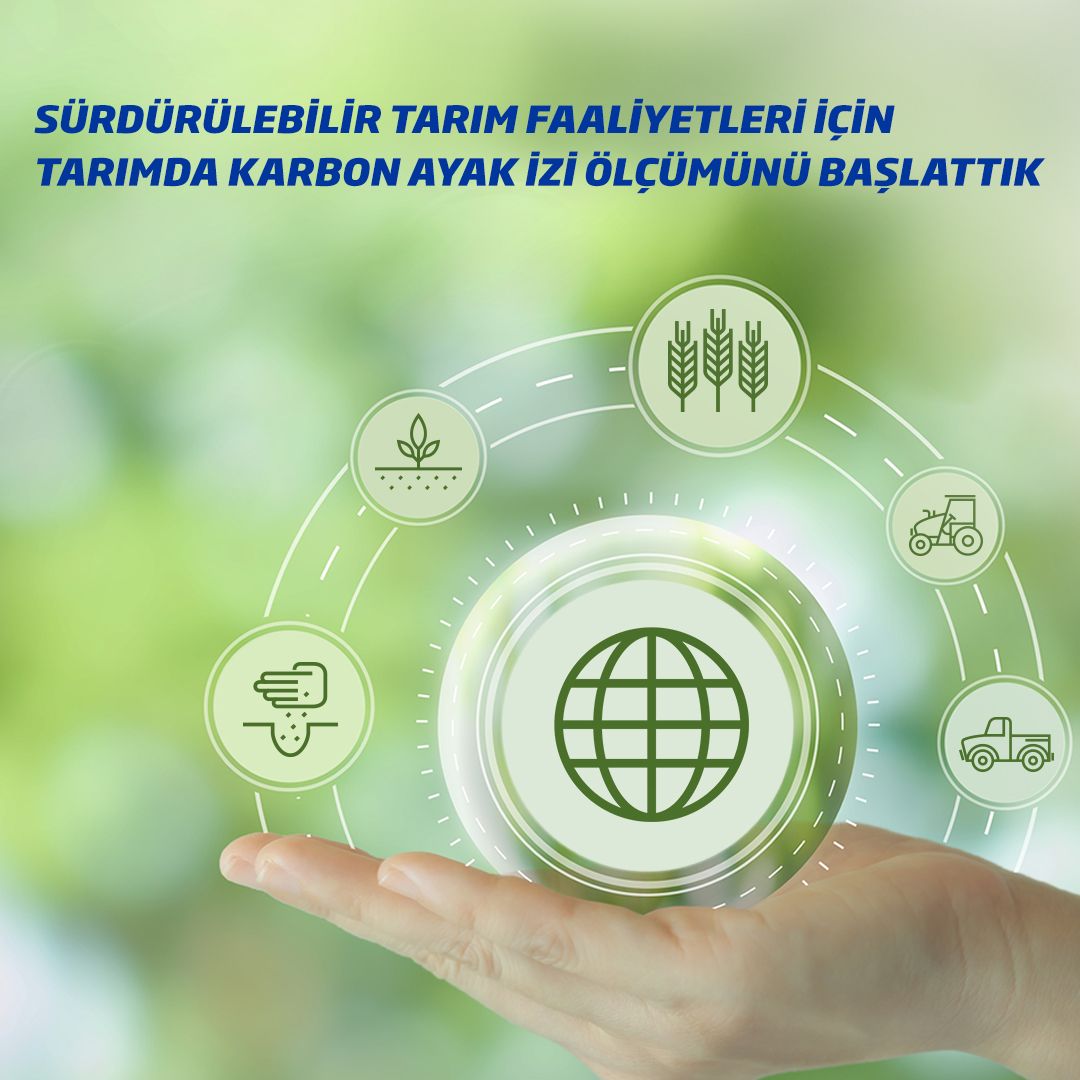 Cansu Karatay posted on LinkedIn Cansu Karatay posted on LinkedIn