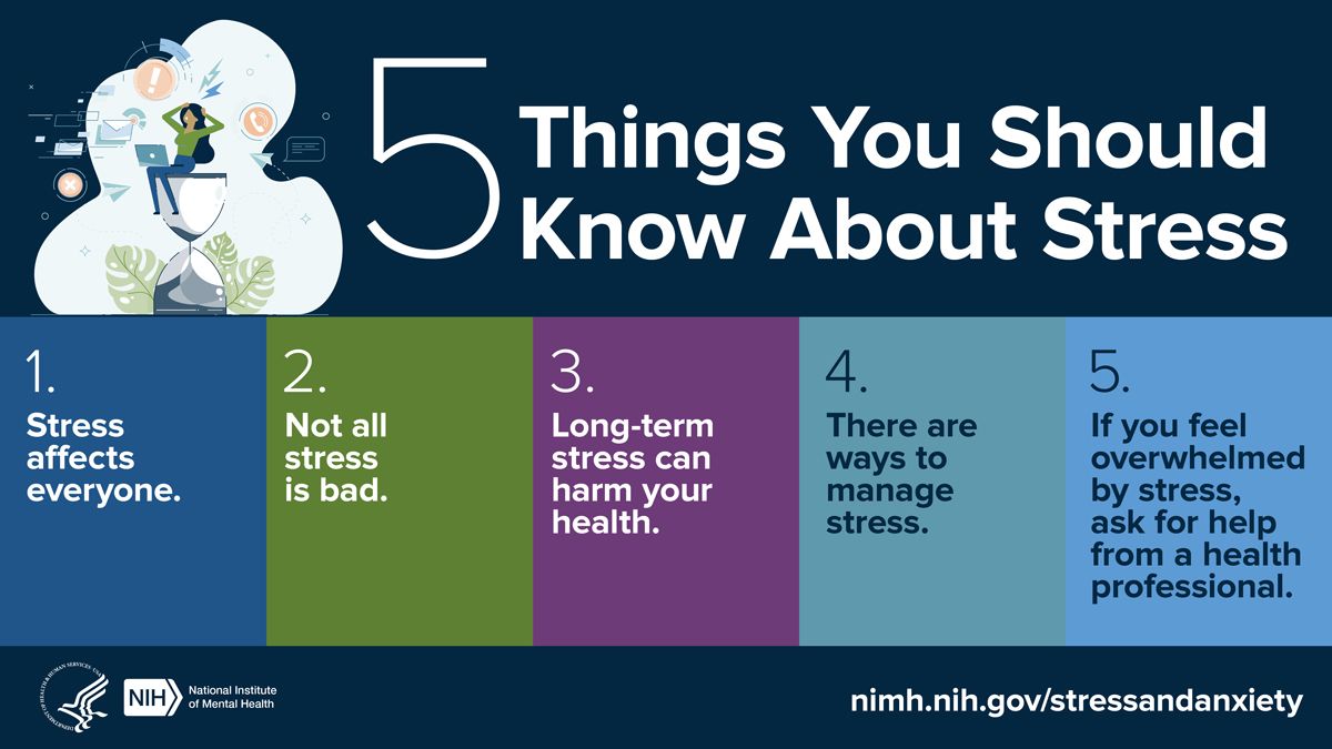 CDC Federal Credit Union on LinkedIn: I’m So Stressed Out! Fact Sheet CDC Federal Credit Union on LinkedIn: I’m So Stressed Out! Fact Sheet