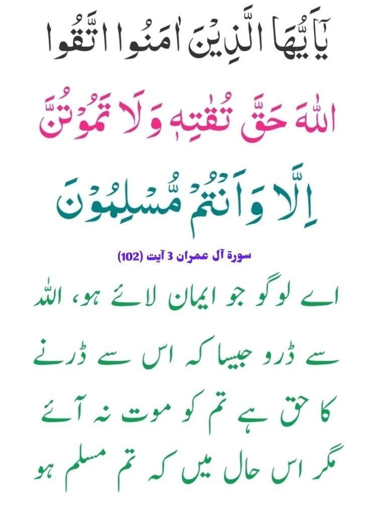 Muhammad Sufyan posted on LinkedIn Muhammad Sufyan posted on LinkedIn