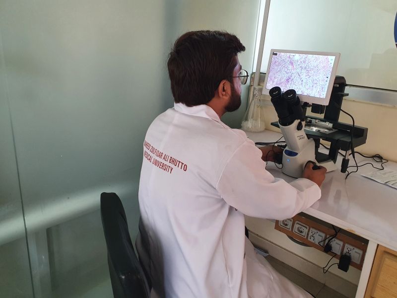 Waseem Aslam on LinkedIn: inverted Microscope CKX53 Olympus Microscope ... Waseem Aslam on LinkedIn: inverted Microscope CKX53 Olympus Microscope ...
