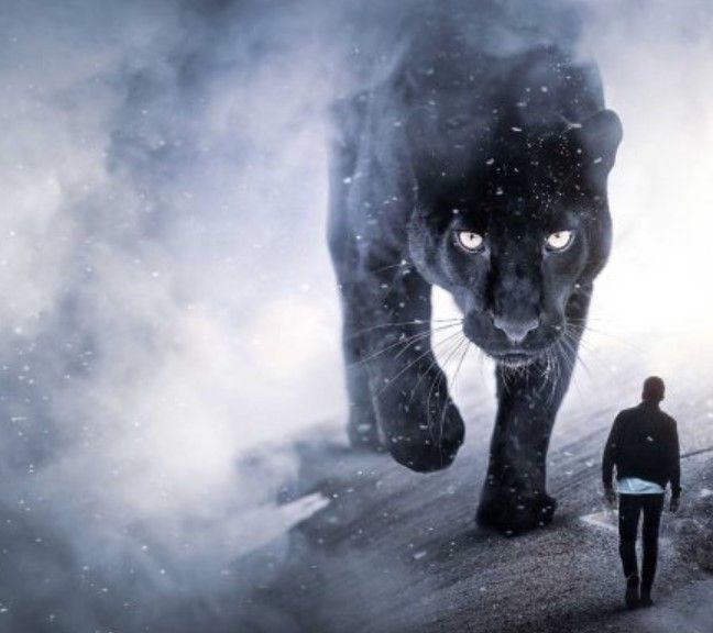Paragkumar Patel on LinkedIn: #fearless #dba #sqldba #oracledb #database Paragkumar Patel on LinkedIn: #fearless #dba #sqldba #oracledb #database