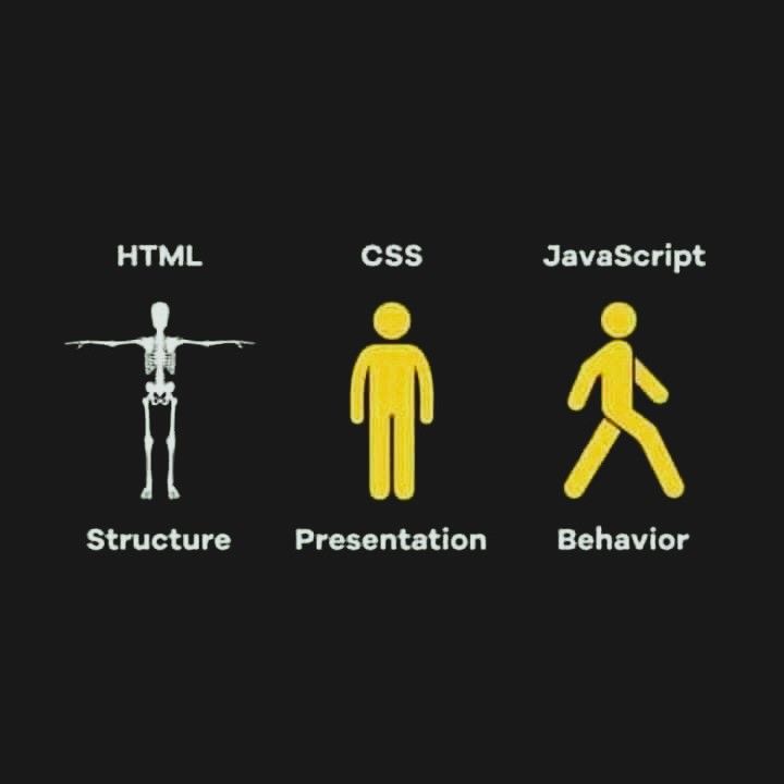 matin bahrami on LinkedIn: #html #css #javascript #frontend #programing matin bahrami on LinkedIn: #html #css #javascript #frontend #programing
