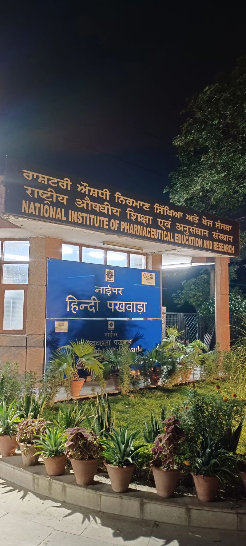 Deepali Yadav on LinkedIn: #niperbound #pharmacologydreams # ... Deepali Yadav on LinkedIn: #niperbound #pharmacologydreams # ...
