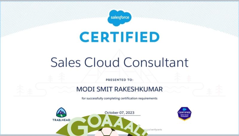 Smit Modi on LinkedIn: #salescloud #consultant #careergrowth #deloitte Smit Modi on LinkedIn: #salescloud #consultant #careergrowth #deloitte