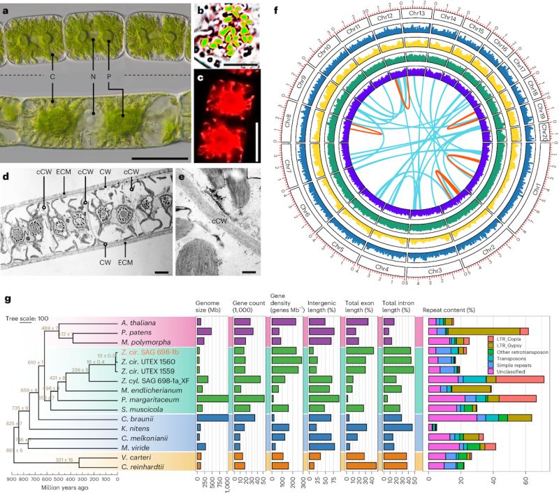 CBIRT, Centre of Bioinformatics Research & Tech on LinkedIn: #plants # ... CBIRT, Centre of Bioinformatics Research & Tech on LinkedIn: #plants # ...