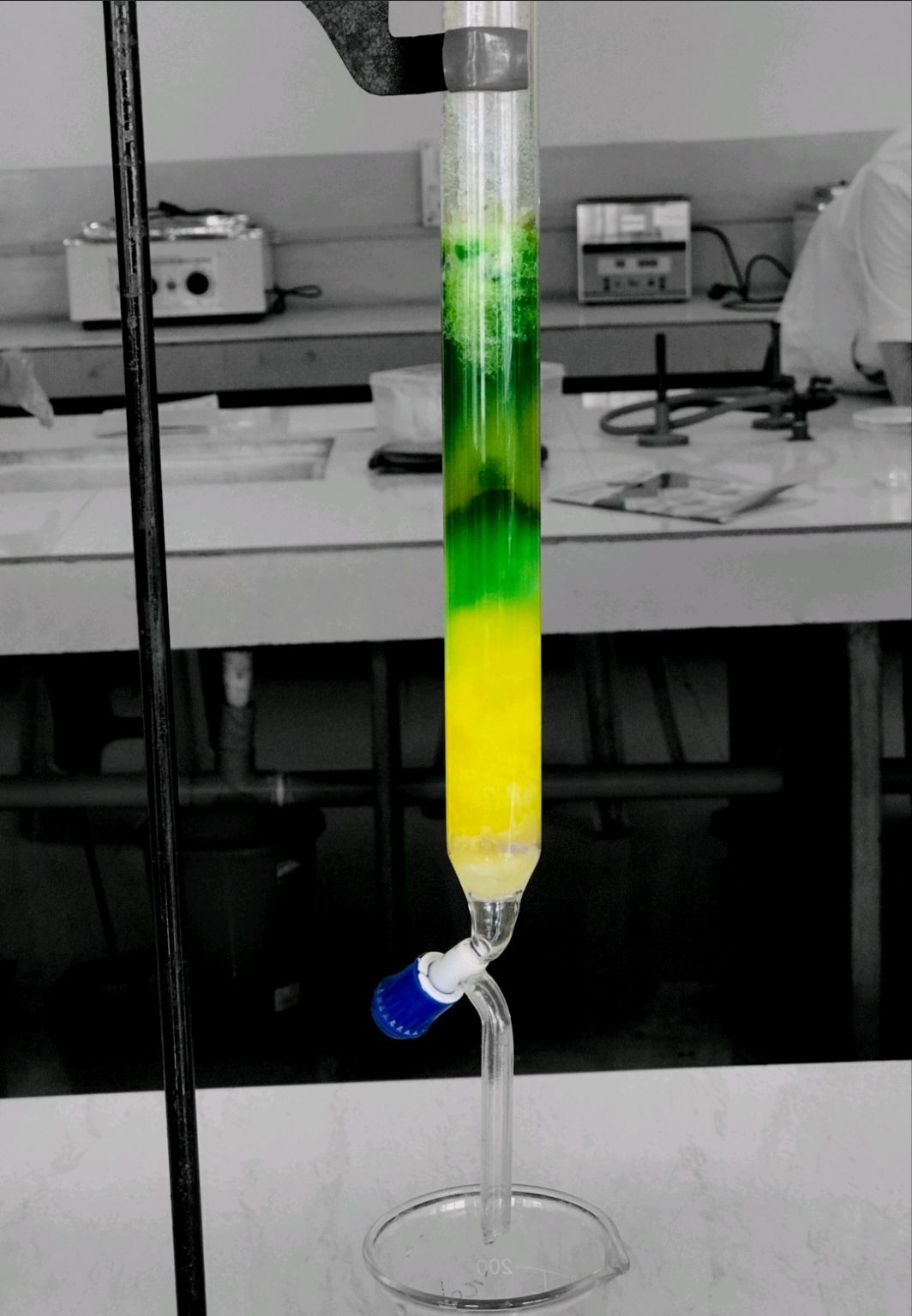 Eram Pathan on LinkedIn: column chromatography of spinach extract ... Eram Pathan on LinkedIn: column chromatography of spinach extract ...