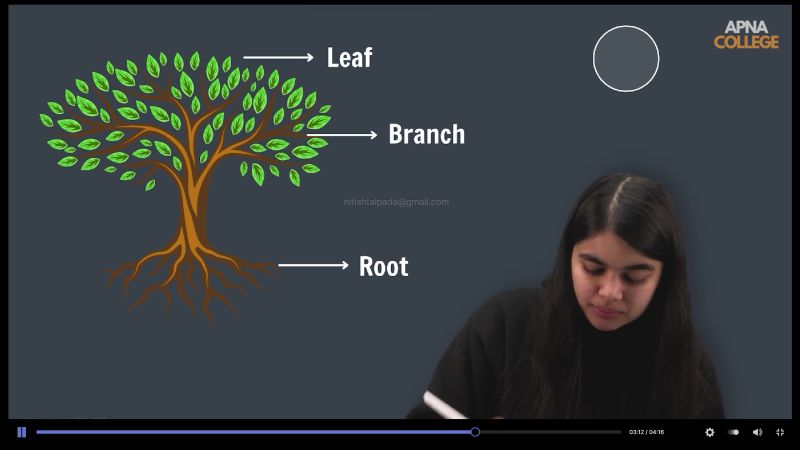 Nitish Talpada on LinkedIn: #binarytrees #datastructures #coding # ... Nitish Talpada on LinkedIn: #binarytrees #datastructures #coding # ...