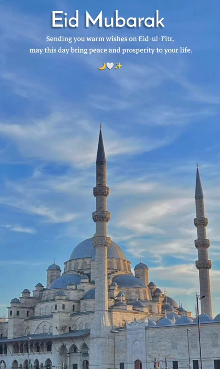 Muhammad Haseeb posted on LinkedIn Muhammad Haseeb posted on LinkedIn