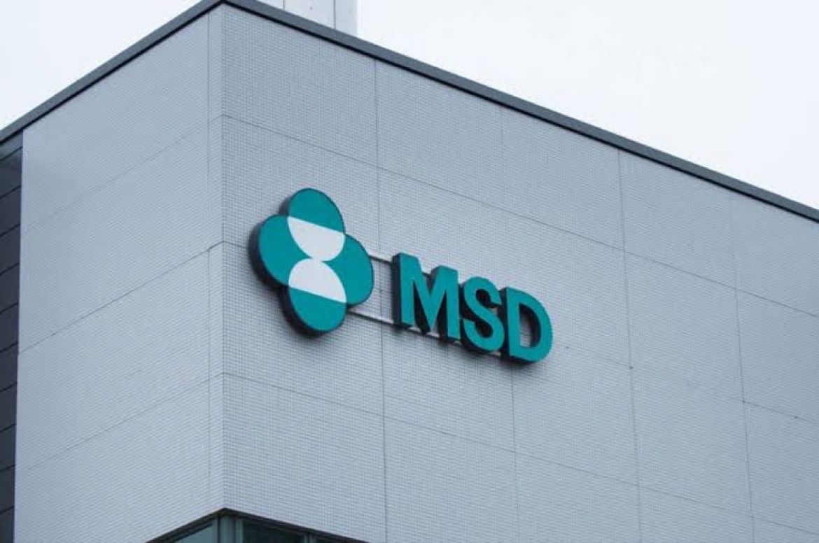 Ayush Bendwal on LinkedIn: #newbeginnings #msd #fullstackdeveloper | 23 ... Ayush Bendwal on LinkedIn: #newbeginnings #msd #fullstackdeveloper | 23 ...