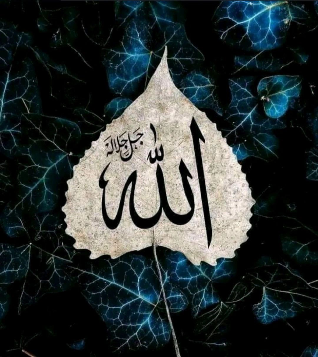 Arooj Saeed posted on LinkedIn Arooj Saeed posted on LinkedIn