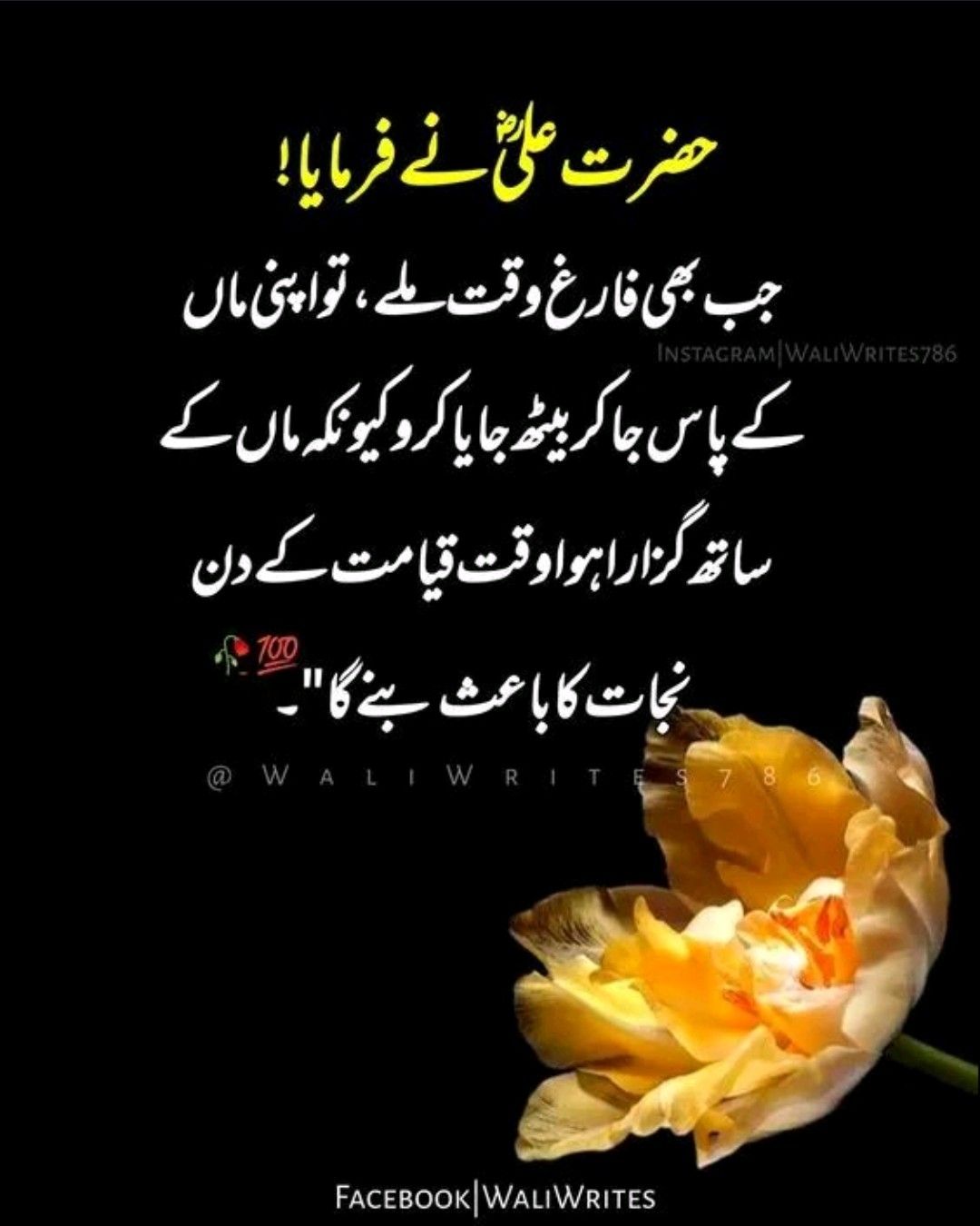 Zaheer Ahmad -Web Developer, SEO Guest Blogger on LinkedIn: Hazrat ali said Zaheer Ahmad -Web Developer, SEO Guest Blogger on LinkedIn: Hazrat ali said