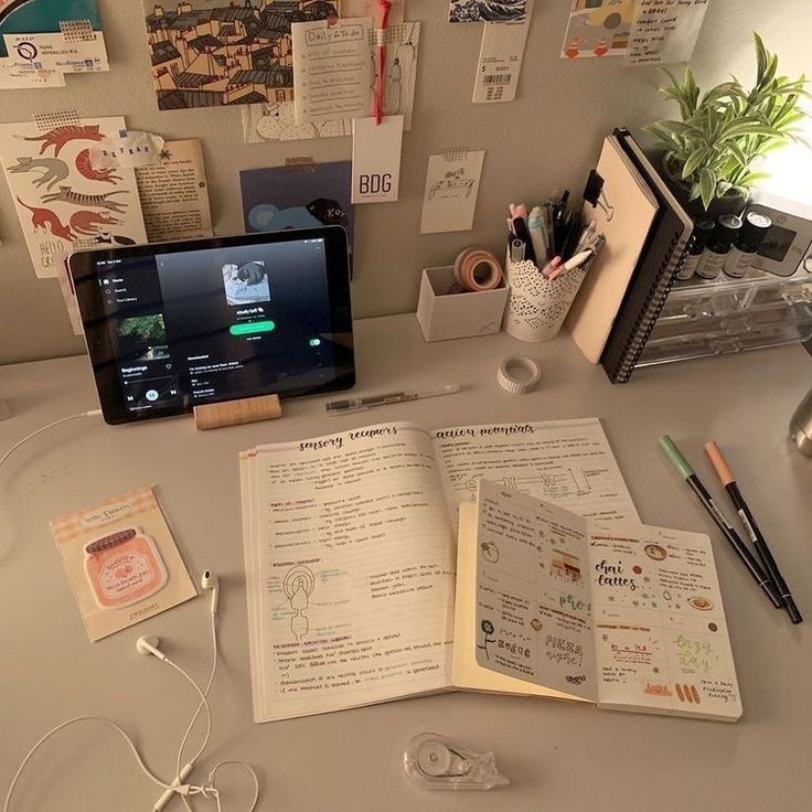 kareem El-sayed posted on LinkedIn kareem El-sayed posted on LinkedIn