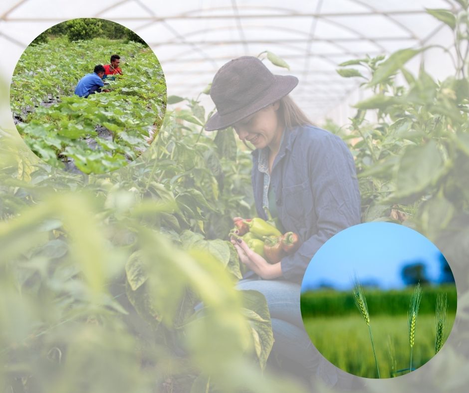 What Agricultural Science is? | DIGIANALIX posted on the topic | LinkedIn What Agricultural Science is? | DIGIANALIX posted on the topic | LinkedIn