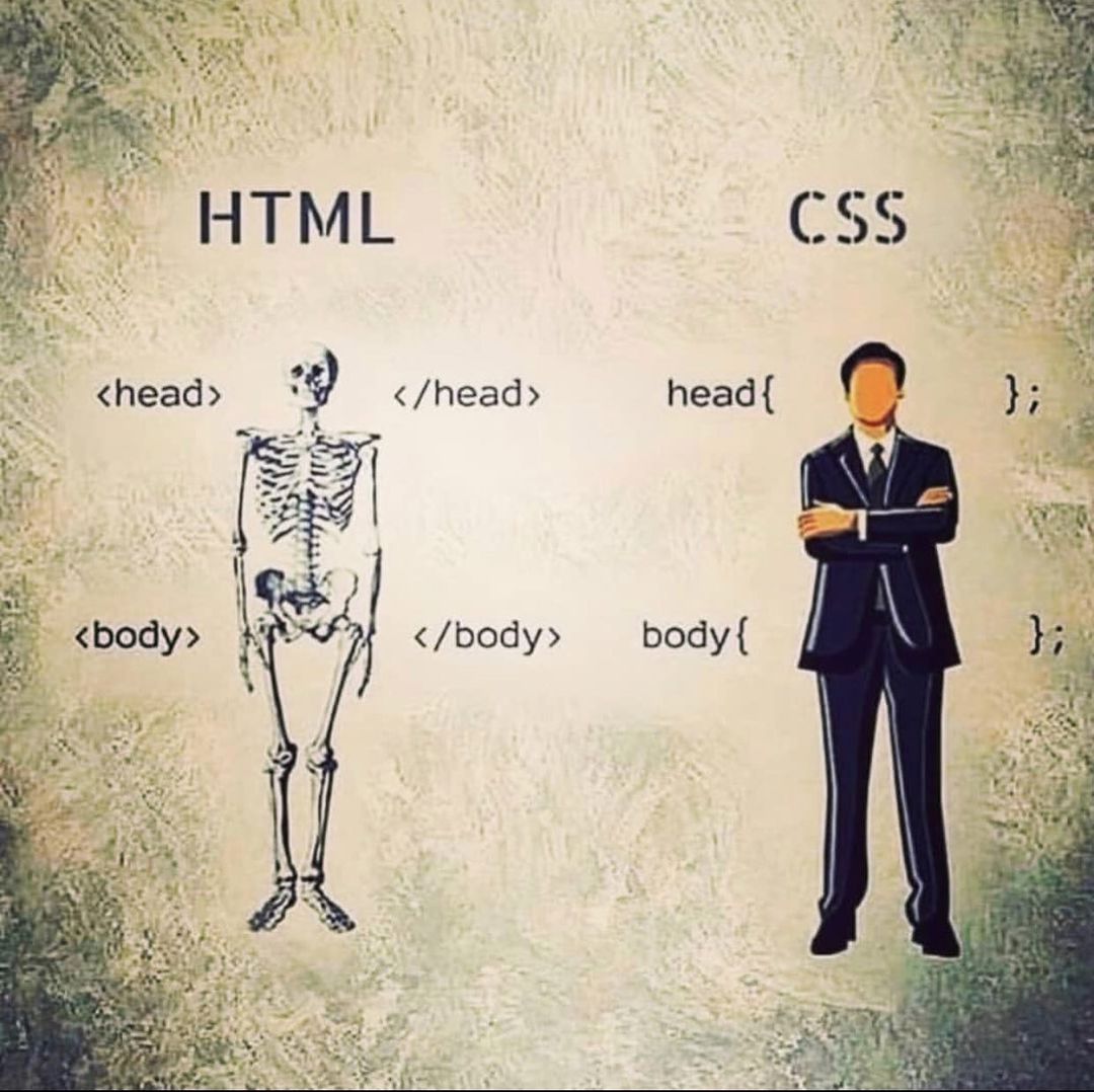 Sajjad Liaqat on LinkedIn: #programming #html #css Sajjad Liaqat on LinkedIn: #programming #html #css