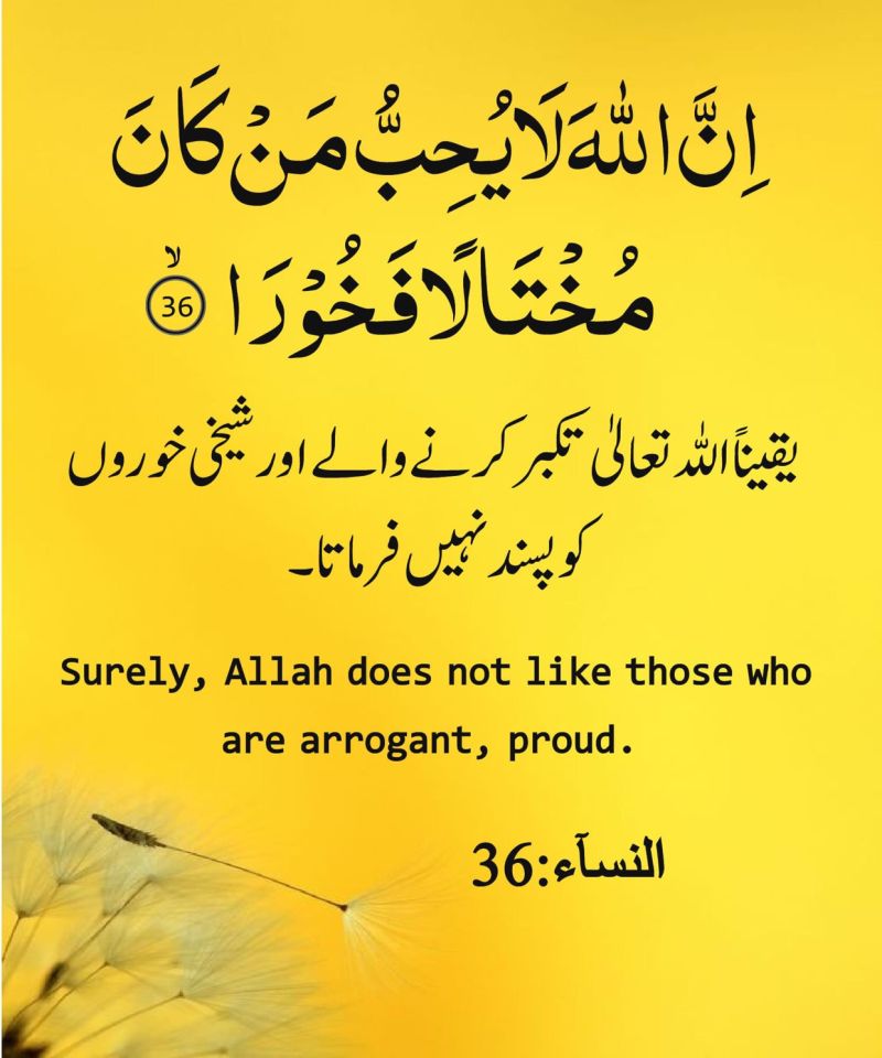 Shahzad Ahmed khokhar sa posted on LinkedIn Shahzad Ahmed khokhar sa posted on LinkedIn