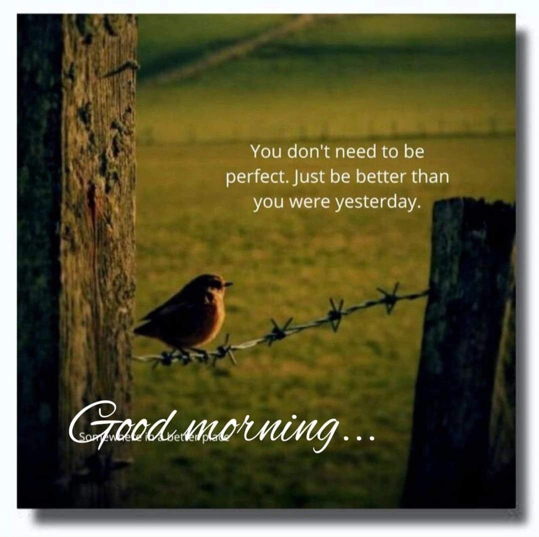 Abhishek Pratap Singh Rathore posted on LinkedIn Abhishek Pratap Singh Rathore posted on LinkedIn