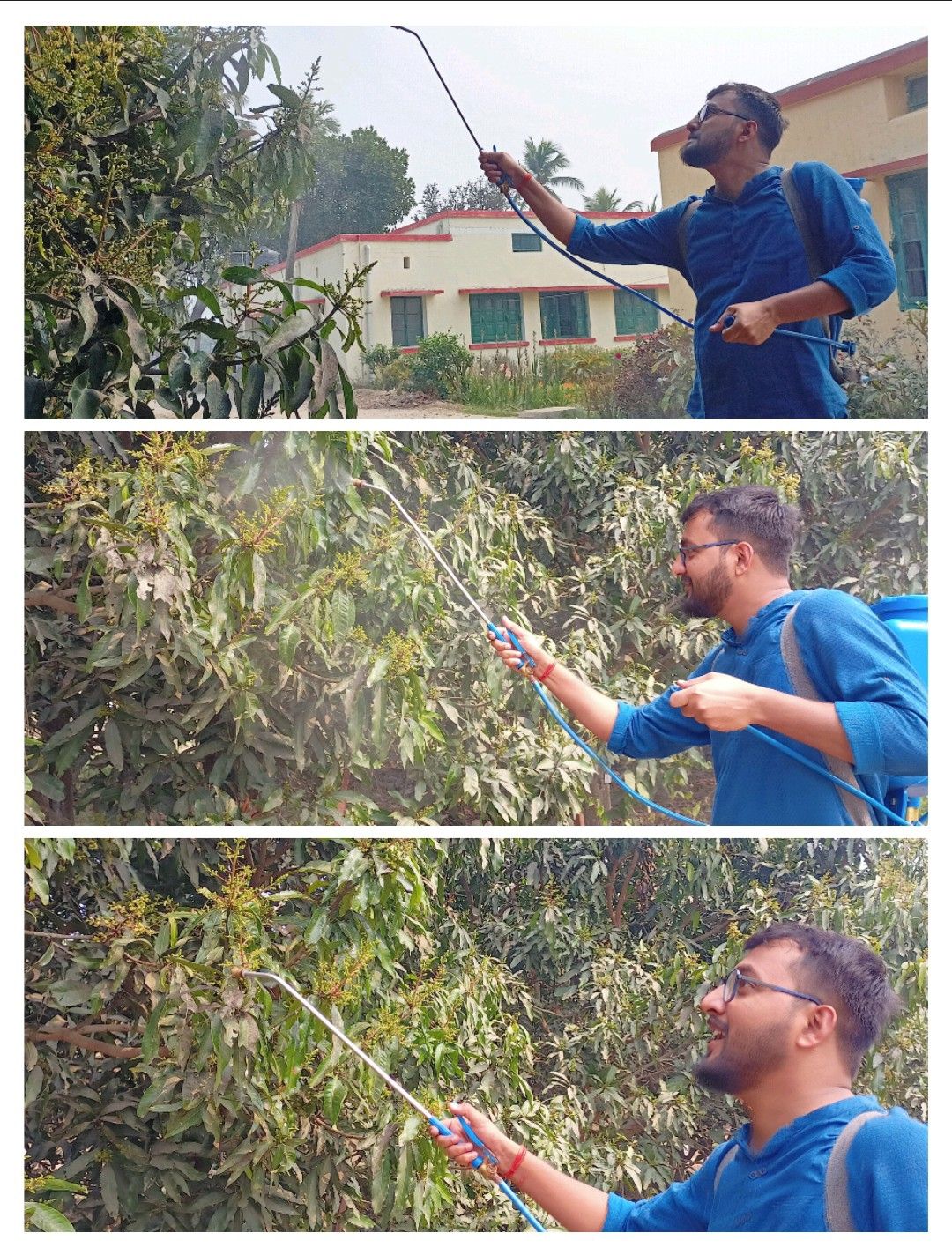 Ankur Kumar Rai on LinkedIn: #horticulture #fruits #spraying Ankur Kumar Rai on LinkedIn: #horticulture #fruits #spraying