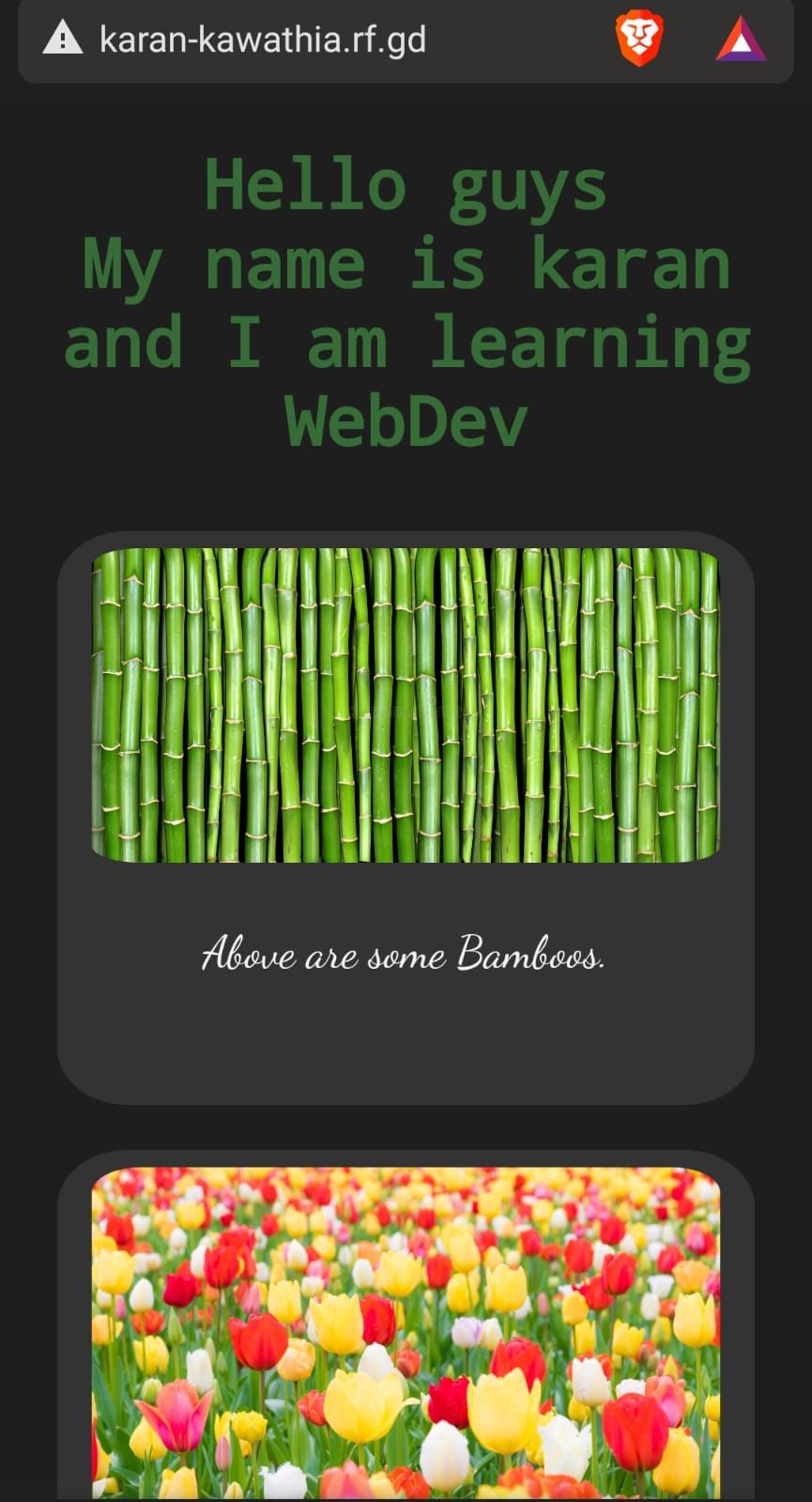 Karan Kawathia on LinkedIn: Created my first webpage today. It's also ... Karan Kawathia on LinkedIn: Created my first webpage today. It's also ...