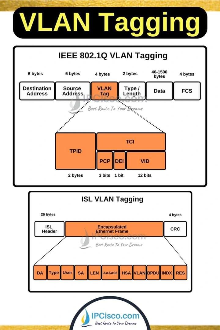 Mohamed Mamdouh on LinkedIn: vlan tagging Mohamed Mamdouh on LinkedIn: vlan tagging