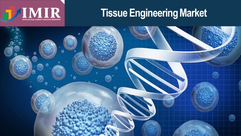 IMIR Market Research Pvt. Ltd. on LinkedIn: Tissue Engineering Market ... IMIR Market Research Pvt. Ltd. on LinkedIn: Tissue Engineering Market ...