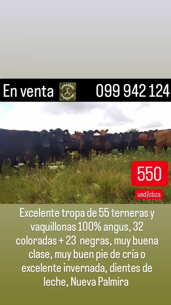 Jose Ramon Garcia Gomez posted on LinkedIn Jose Ramon Garcia Gomez posted on LinkedIn