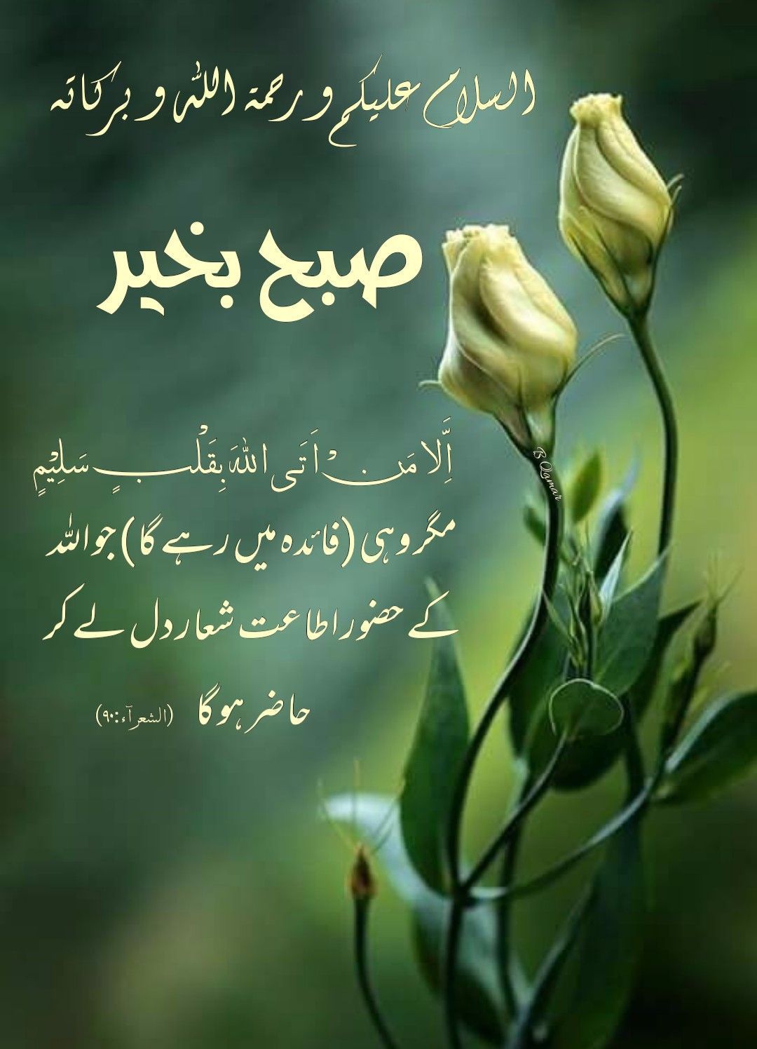 Awais Ahmad posted on LinkedIn Awais Ahmad posted on LinkedIn