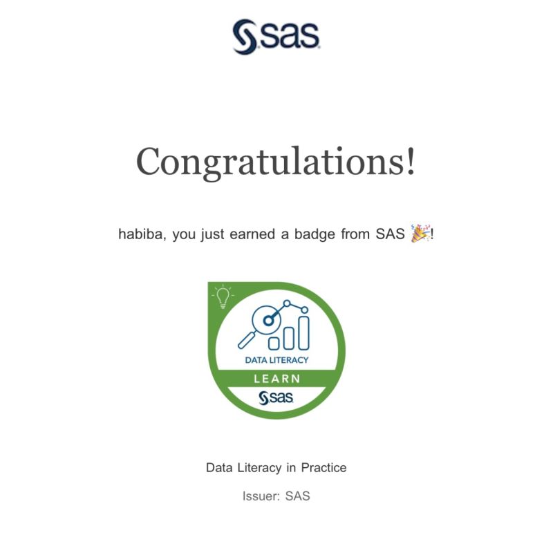 Habiba Mohamed on LinkedIn: #cib_summer_internship_2024 #cib #sas #cib ... Habiba Mohamed on LinkedIn: #cib_summer_internship_2024 #cib #sas #cib ...