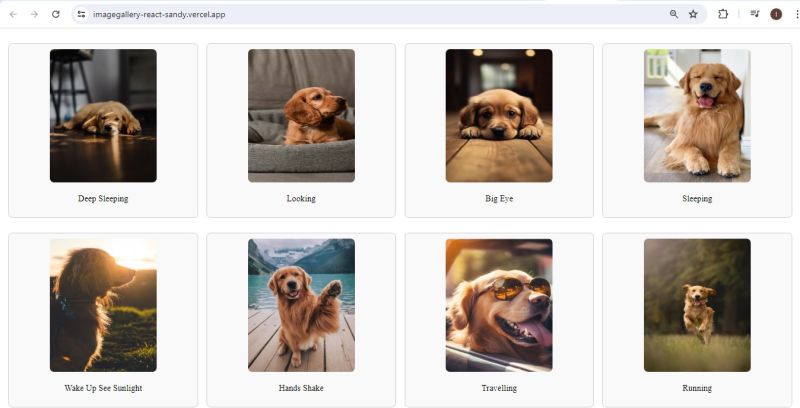 Luther Benny on LinkedIn: #react #webdevelopment #vercel #github # ... Luther Benny on LinkedIn: #react #webdevelopment #vercel #github # ...