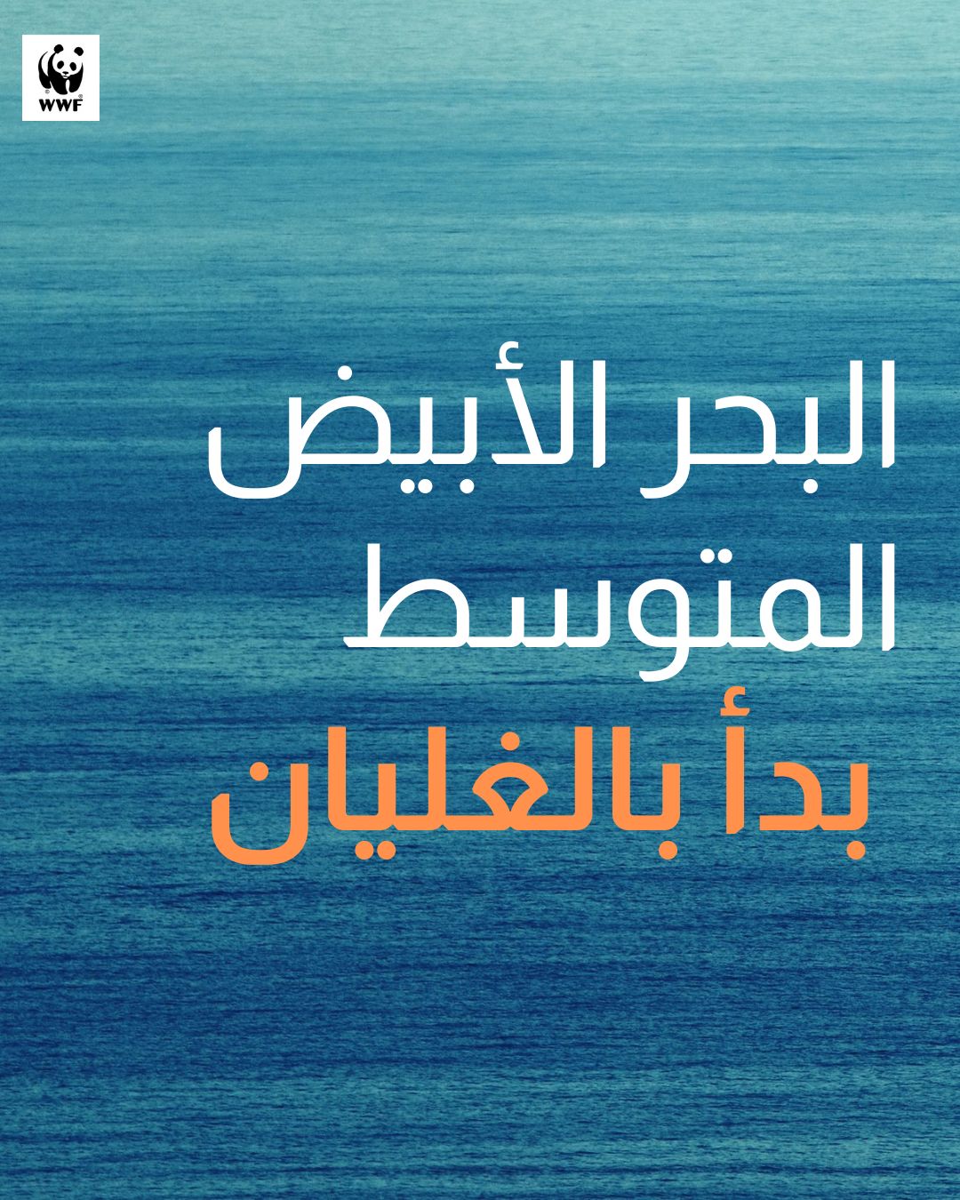 Adnene Lafi on LinkedIn: Adnene Lafi on LinkedIn:
