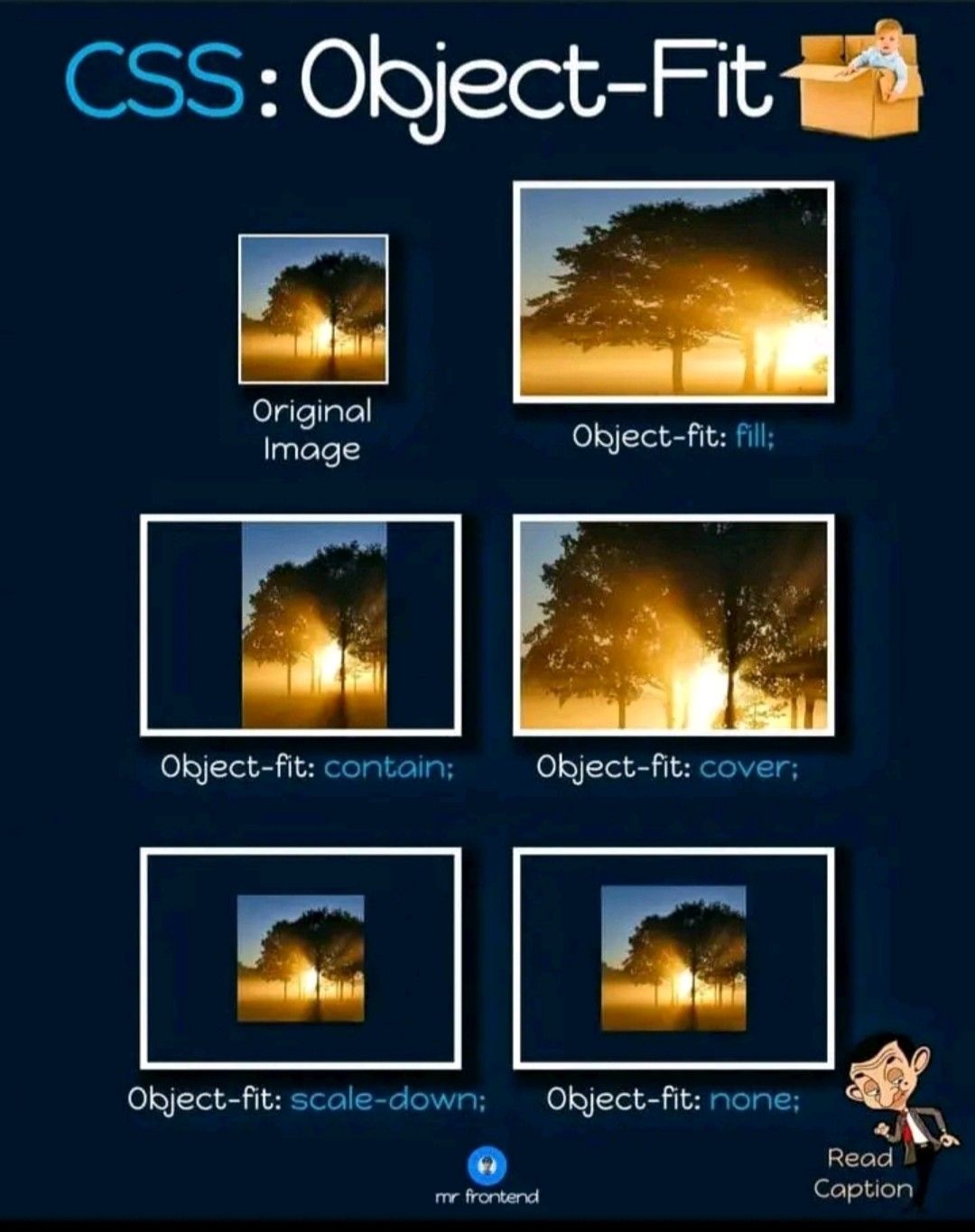 Imran Khan on LinkedIn: #css #html #html5 #htmlcss Imran Khan on LinkedIn: #css #html #html5 #htmlcss
