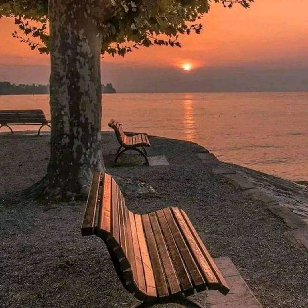 Anum urooj khan on LinkedIn: اک برس کا سورج ڈوب گیا اک برس کے چاند کو ... Anum urooj khan on LinkedIn: اک برس کا سورج ڈوب گیا اک برس کے چاند کو ...
