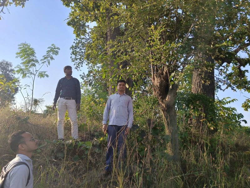Suraj Kumar Singh Kanwar on LinkedIn: inspection of lakh cultivation at ... Suraj Kumar Singh Kanwar on LinkedIn: inspection of lakh cultivation at ...