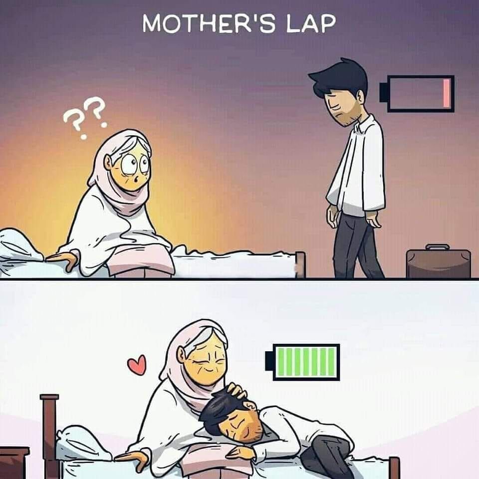Ariba Memon on LinkedIn: Mother's lap😍 Ariba Memon on LinkedIn: Mother's lap😍