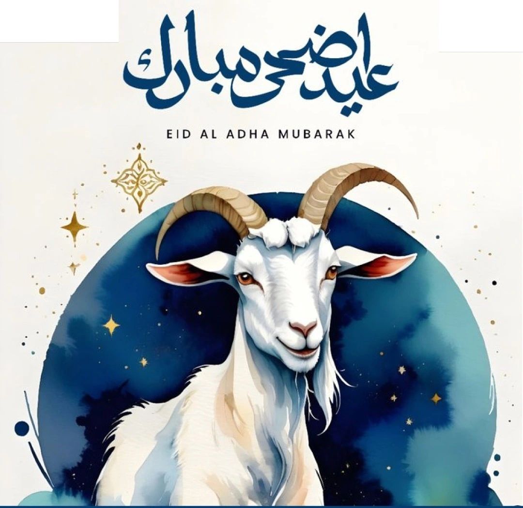 Muhammad Waseem Akram on LinkedIn: Assalam o Alaikum! Eid Mubarak ... Muhammad Waseem Akram on LinkedIn: Assalam o Alaikum! Eid Mubarak ...