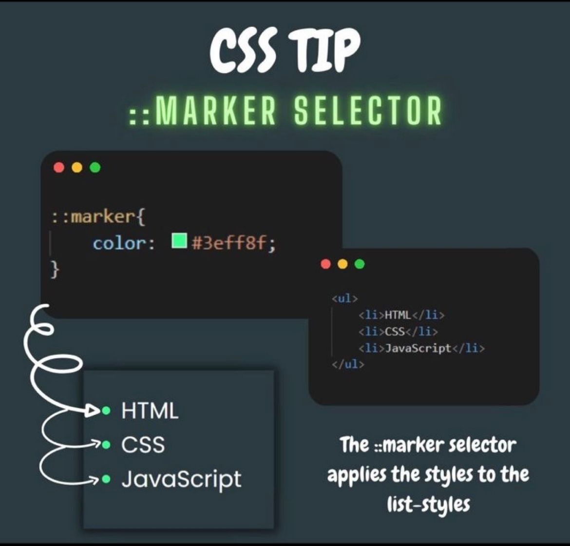 Aamir Muhammad Amin on LinkedIn: #css Aamir Muhammad Amin on LinkedIn: #css
