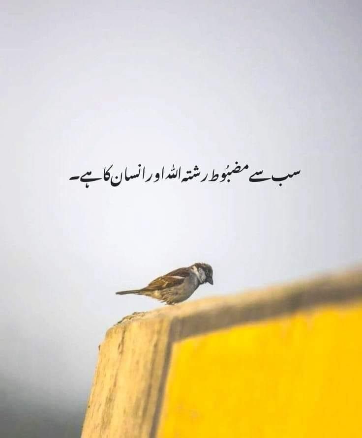 Arbaz khan on LinkedIn: indeed Arbaz khan on LinkedIn: indeed