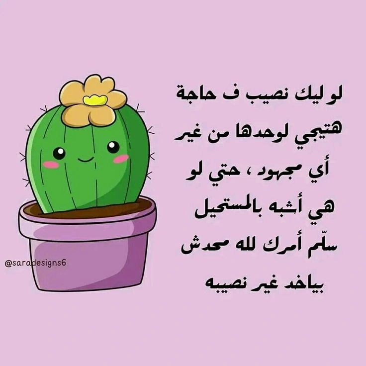Mohamed Ramadan on LinkedIn: ️ Mohamed Ramadan on LinkedIn: ️