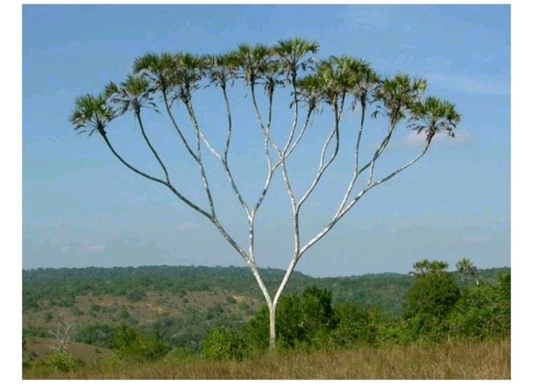 Pavan Ghate on LinkedIn: After seeing this image if your first thought ... Pavan Ghate on LinkedIn: After seeing this image if your first thought ...