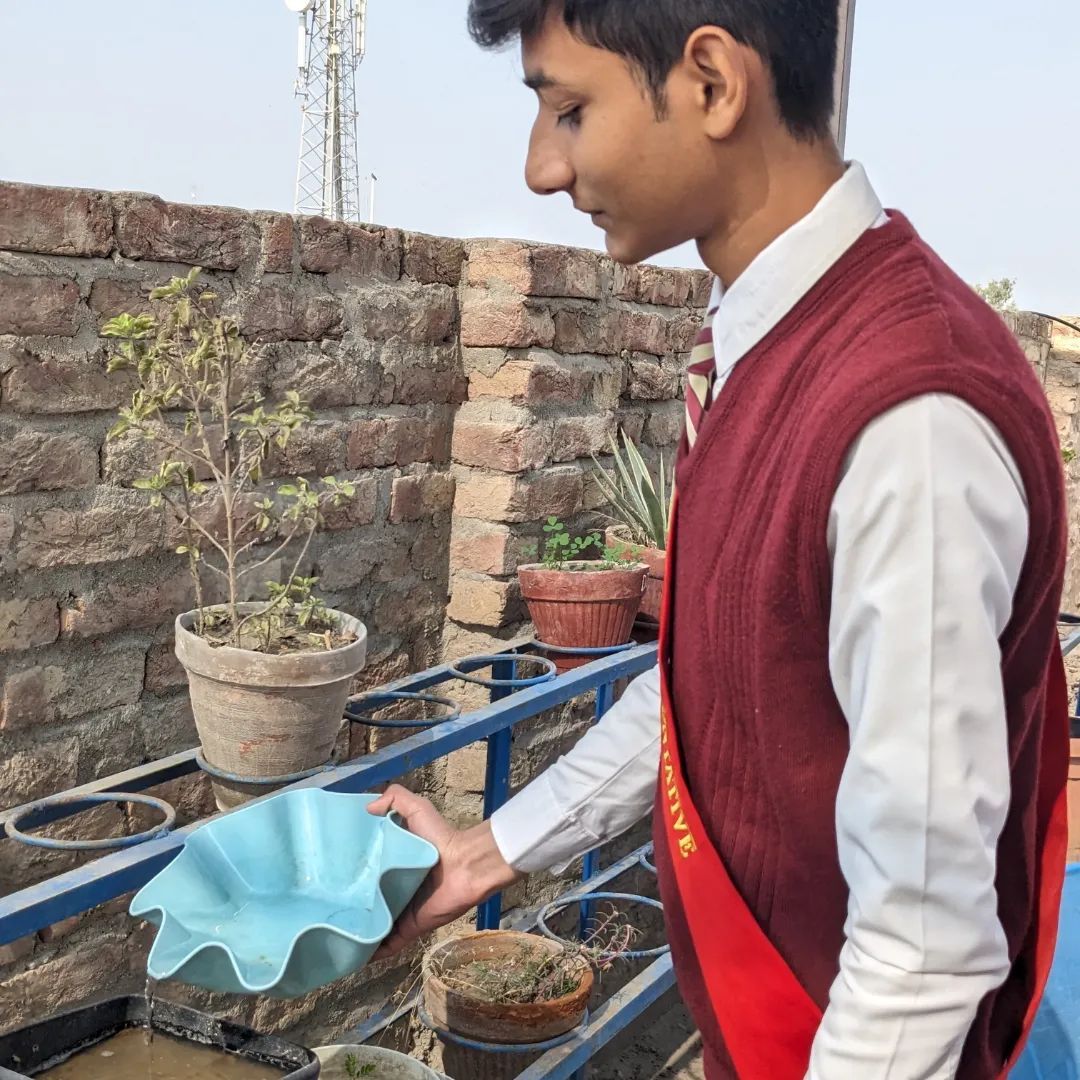 Nofil Ahmed Khan on LinkedIn: #lettuceresearch #workinprogress #sciencelife Nofil Ahmed Khan on LinkedIn: #lettuceresearch #workinprogress #sciencelife
