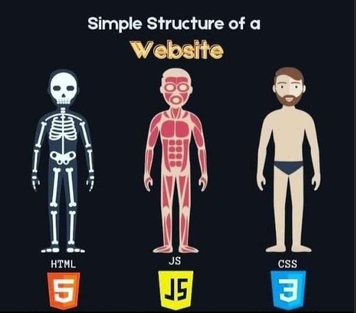 Himel Sarder on LinkedIn: #webdevelopment #html #javascript #css Himel Sarder on LinkedIn: #webdevelopment #html #javascript #css