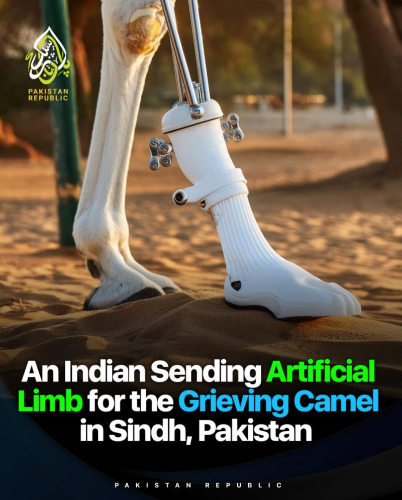 Muhammad Faizan Ashraf on LinkedIn: #pakistanrepublic Muhammad Faizan Ashraf on LinkedIn: #pakistanrepublic