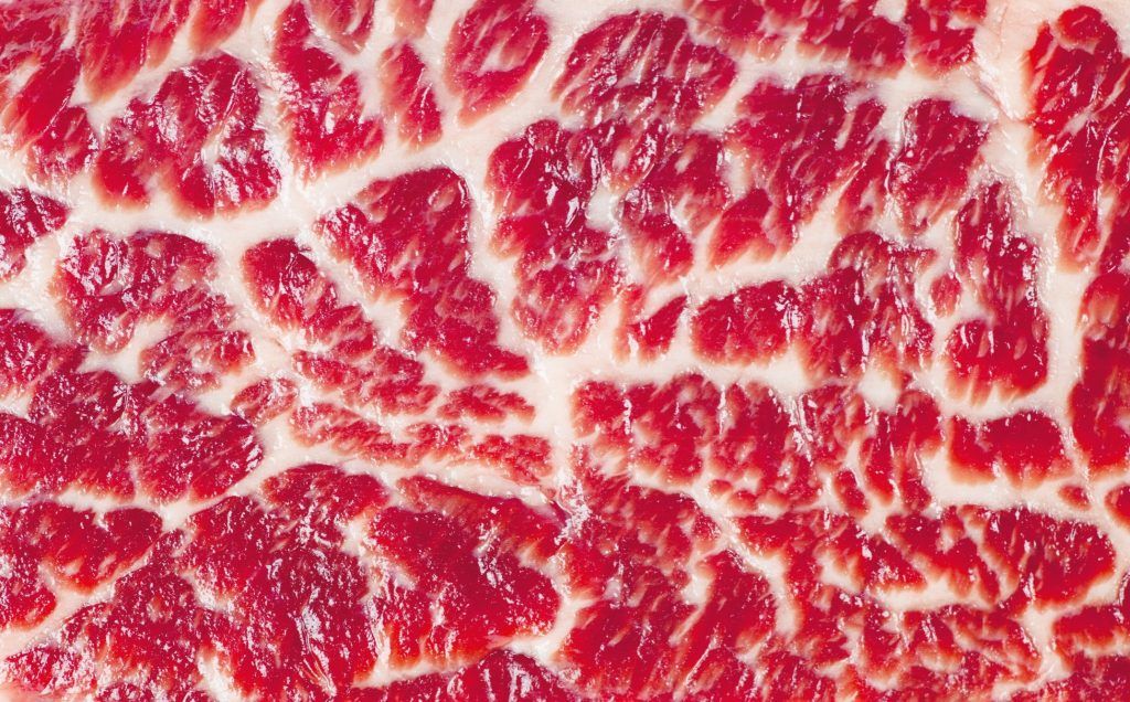 Mohamed Hamada on LinkedIn: #cultivatedmeat #bioprocessing Mohamed Hamada on LinkedIn: #cultivatedmeat #bioprocessing