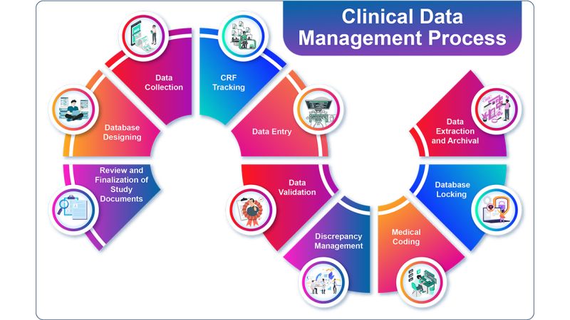 How CDM is used in clinical research | Mohammad Zishan posted on the ... How CDM is used in clinical research | Mohammad Zishan posted on the ...