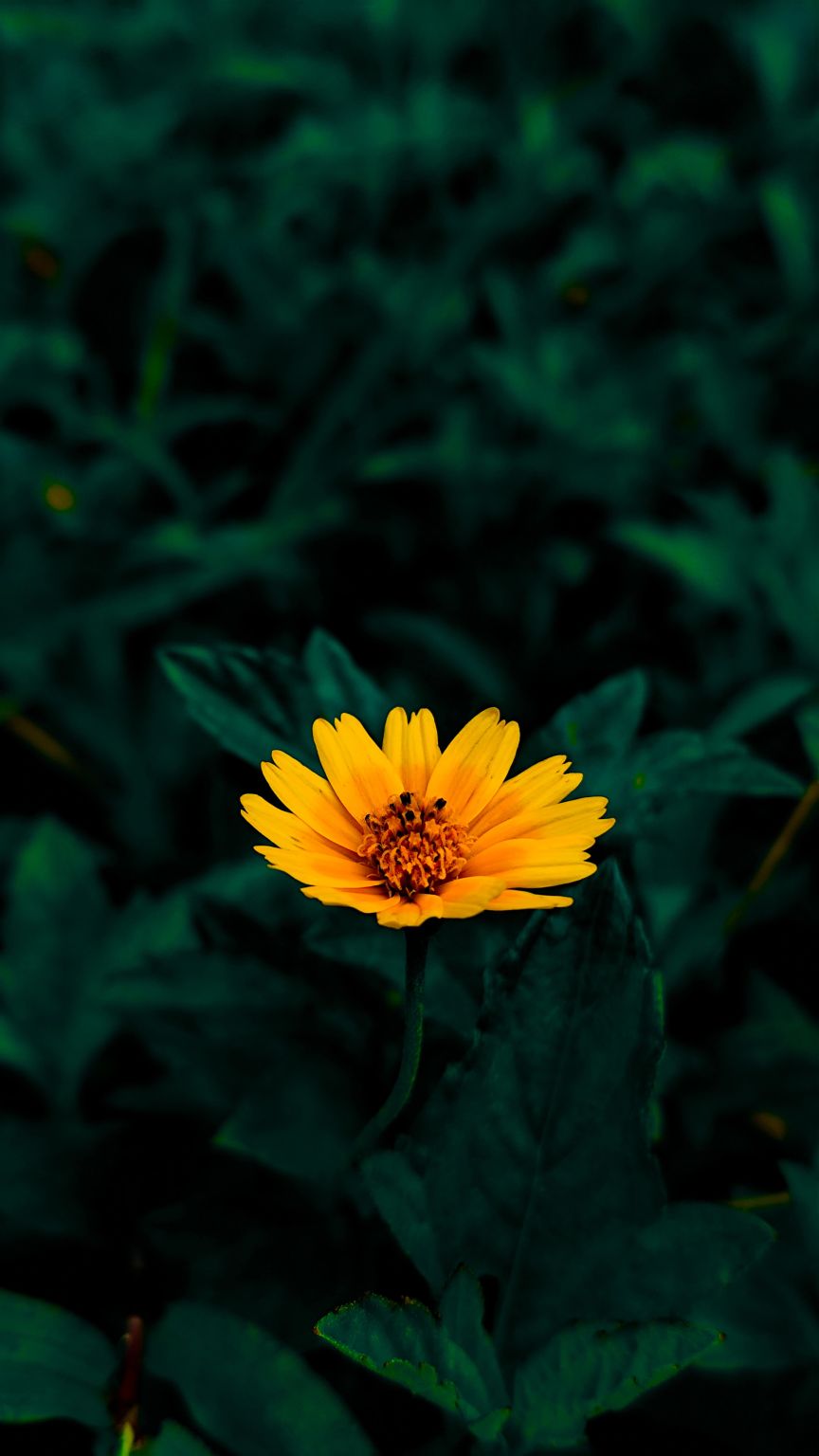 Dhiraj Mahajan on LinkedIn: I was thinking what should I post as first ... Dhiraj Mahajan on LinkedIn: I was thinking what should I post as first ...