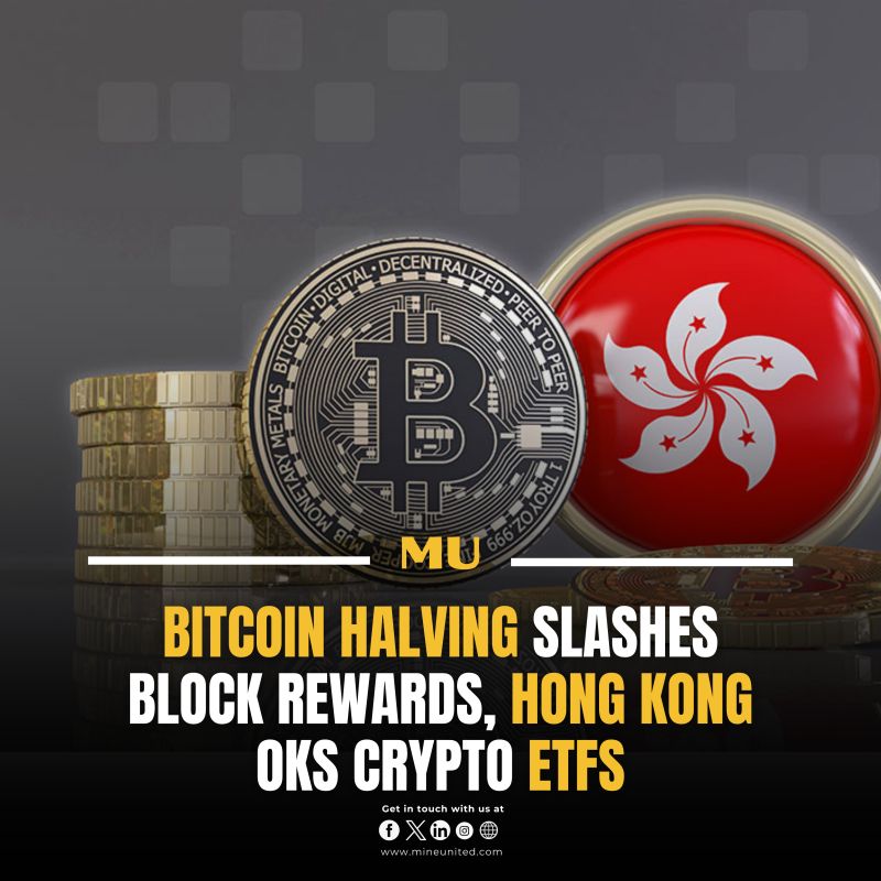 Mine United on LinkedIn: Bitcoin witnesses massive drop after halving ... Mine United on LinkedIn: Bitcoin witnesses massive drop after halving ...