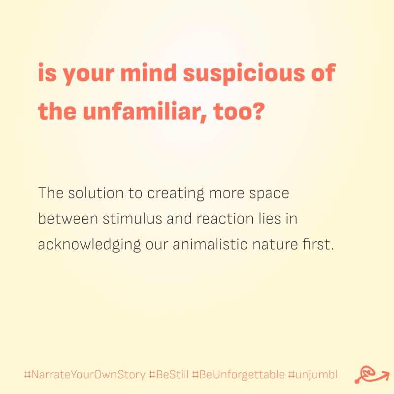 Alexandru Stan on LinkedIn: #selfdiscovery #overcominginstincts # ... Alexandru Stan on LinkedIn: #selfdiscovery #overcominginstincts # ...