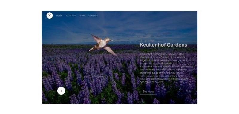 Kunal Kumar Singh on LinkedIn: #birdflyinganimation # ... Kunal Kumar Singh on LinkedIn: #birdflyinganimation # ...