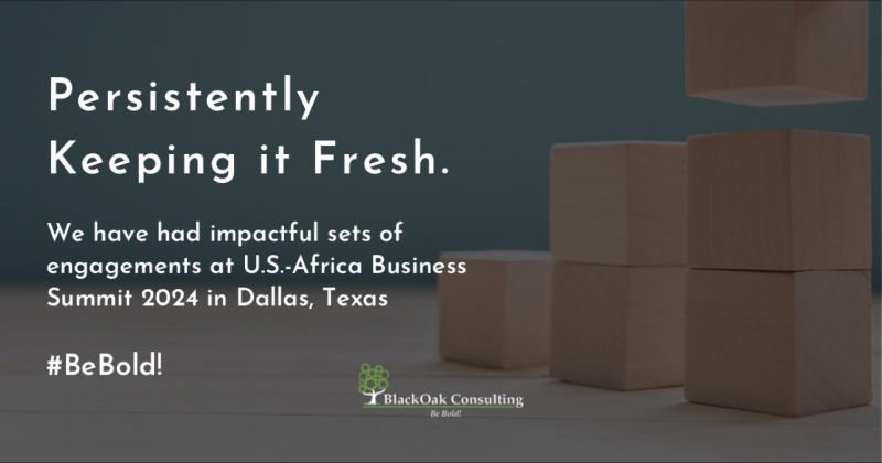 BlackOak Consulting on LinkedIn: #bebold #usafricabizsummit2024 BlackOak Consulting on LinkedIn: #bebold #usafricabizsummit2024