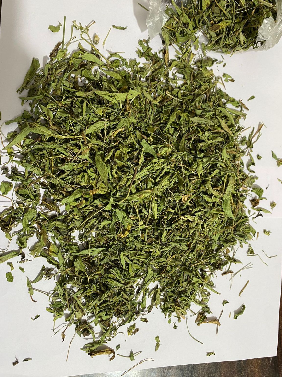 Rudra Pratap Singh Rathore on LinkedIn: AVAILABLE - STEVIA LEAF WHOLE ... Rudra Pratap Singh Rathore on LinkedIn: AVAILABLE - STEVIA LEAF WHOLE ...