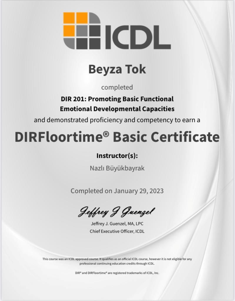 Beyza Tok on LinkedIn: #dirfloortime #icdl Beyza Tok on LinkedIn: #dirfloortime #icdl